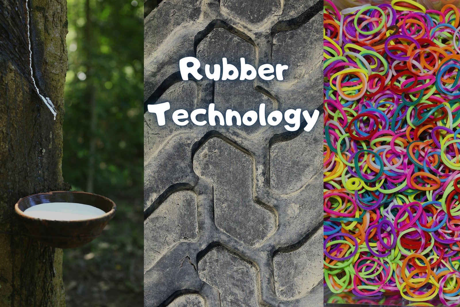 Rubber Technology courses in India: courses and top Institutes.